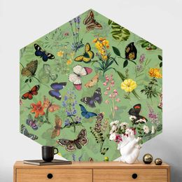 Bilderwelten Hexagon Tapete Blumen modern Wandtapete bunt - Schmetterlinge mit Blumen auf Gr&uuml;n - Schmetterlinge Wohnzimmer Schlafzimmer