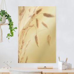 Bilderwelten Glasbild Blumen Landhaus beige Glas Wandbild - Zartes Glanzgras - Gr&auml;ser Wohnzimmer Schlafzimmer