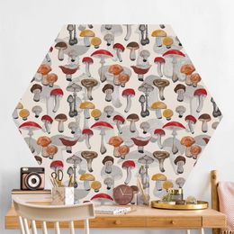 Bilderwelten Hexagon Tapete Kulinarisch Illustration Wandtapete beige - Bunter Pilzmix - Deko K&uuml;che