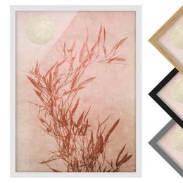 Bilderwelten Bild mit Rahmen Natur rosa modern inkl. Rahmung - Goldene Sonne mit Rosa Bambus - Bambus Wohnzimmer Schlafzimmer