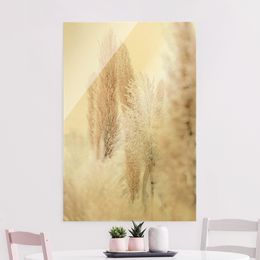 Bilderwelten Glasbild Blumen Landhaus beige Glas Wandbild - Pampasgras im Wei&szlig;en Licht - Gr&auml;ser Wohnzimmer Schlafzimmer