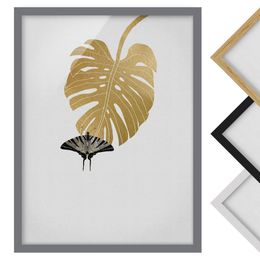 Bilderwelten Bild mit Rahmen Goldene Monstera mit Schmetterling