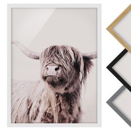 Bilderwelten Bild mit Rahmen Tiere beige Motiv inkl. Rahmung - Hochlandrind Frida in Beige - Deko Wohnzimmer Schlafzimmer