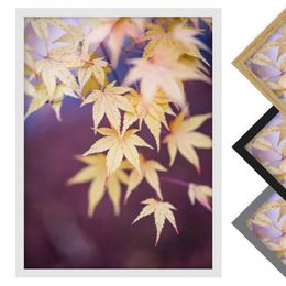 Bilderwelten Bild mit Rahmen Stadt violett Motiv inkl. Rahmung - Herbstlicher Ahorn - Japan Wohnzimmer Schlafzimmer