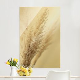 Bilderwelten Glasbild Blumen Landhaus beige Glas Wandbild - Makroaufnahme Pampasgras - Gr&auml;ser Wohnzimmer Schlafzimmer