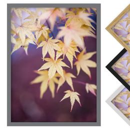 Bilderwelten Bild mit Rahmen Herbstlicher Ahorn