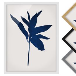 Bilderwelten Bild mit Rahmen Blumen blau Tropisch inkl. Rahmung - Grafische Pflanzenwelt - Blau - Deko Wohnzimmer Schlafzimmer