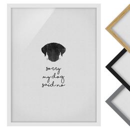 Bilderwelten Bild mit Rahmen Tiere schwarz weiss modern inkl. Rahmung - Haustier Zitat Sorry My Dog Said No - Hund Jugendzimmer