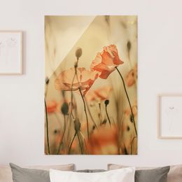 Bilderwelten Glasbild Blumen Motiv rot Glas Wandbild - Mohnbl&uuml;ten im Sommerwind - Mohn Wohnzimmer Schlafzimmer