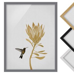 Bilderwelten Bild mit Rahmen Kolibri und tropische goldene Bl&uuml;te