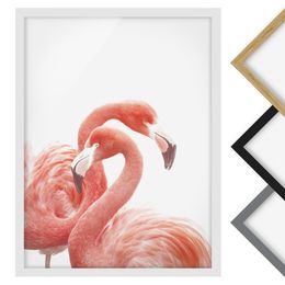 Bilderwelten Bild mit Rahmen Tiere pink Motiv inkl. Rahmung - Zwei Flamingos - V&ouml;gel Wohnzimmer Schlafzimmer