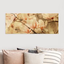 Bilderwelten Glasbild Wald Vintage braun Glas Wandbild - Magnolienzweige im Vintagestil - B&auml;ume Wohnzimmer Schlafzimmer