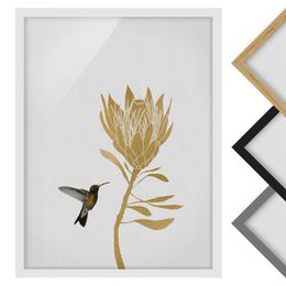 Bilderwelten Bild mit Rahmen Tiere gold Tropisch inkl. Rahmung - Kolibri und tropische goldene Bl&uuml;te - Pflanzen Wohnzimmer Schlafzimmer