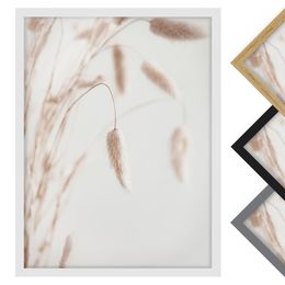 Bilderwelten Bild mit Rahmen Zartes Glanzgras