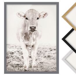 Bilderwelten Bild mit Rahmen Wei&szlig;es Kalb