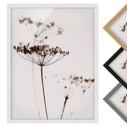 Bilderwelten Bild mit Rahmen Blumen braun Motiv inkl. Rahmung - Trockenblume im Schatten - Deko Wohnzimmer Schlafzimmer