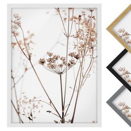 Bilderwelten Bild mit Rahmen Blumen braun Motiv inkl. Rahmung - Trockenblume im Lichtspiel - Deko Wohnzimmer Schlafzimmer
