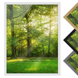 Bilderwelten Bild mit Rahmen Spaziergang im Wald