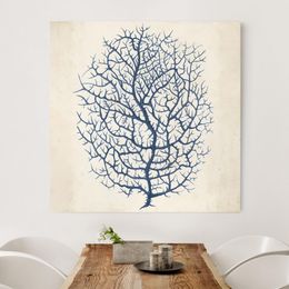 Bilderwelten Leinwandbild - Quadrat Indigo Koralle I