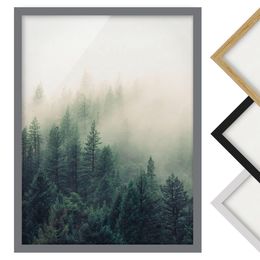 Bilderwelten Bild mit Rahmen Wald im Nebel Erwachen