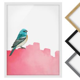 Bilderwelten Bild mit Rahmen Tiere pink Illustration inkl. Rahmung - Vogel auf Pink - V&ouml;gel Wohnzimmer Schlafzimmer