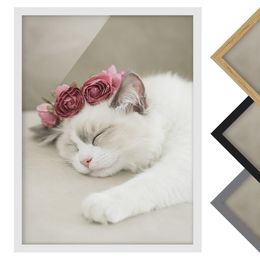 Bilderwelten Bild mit Rahmen Tiere weiss Motiv inkl. Rahmung - Schlafende Katze mit Rosen - Rose Kinderzimmer Baby M&auml;dchen Jungen