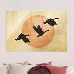 Bilderwelten Glasbild Natur modern rosa Glas Wandbild - V&ouml;gel vor rosa Sonne III - Sonnenuntergang Wohnzimmer Schlafzimmer