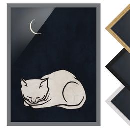 Bilderwelten Bild mit Rahmen Schlafende Katze Illustration