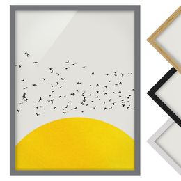 Bilderwelten Bild mit Rahmen Vogelschwarm vor gelber Sonne