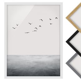 Bilderwelten Bild mit Rahmen Tiere schwarz weiss Illustration Aquarell - Vogelzug in den S&uuml;den - V&ouml;gel Wohnzimmer Schlafzimmer