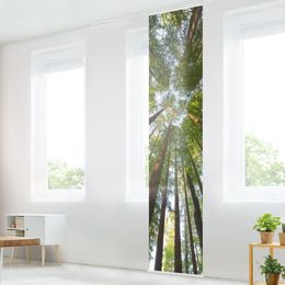 Bilderwelten Schiebegardine Set Mammutbaum Baumkronen