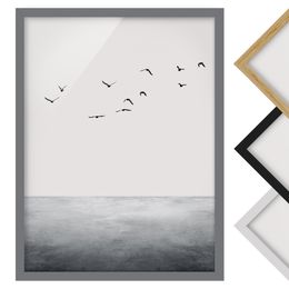 Bilderwelten Bild mit Rahmen Vogelzug in den S&uuml;den