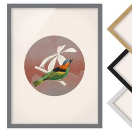 Bilderwelten Bild mit Rahmen Vogel Collage im Kreis II