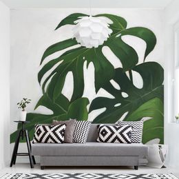 Bilderwelten Fototapete Lieblingspflanzen - Monstera