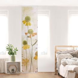 Bilderwelten Schiebegardinen Set Blumen Zarte Helenium Bl&uuml;ten