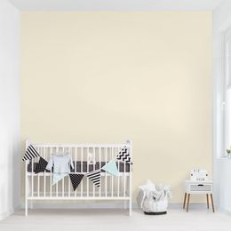 Bilderwelten Fototapete Vliestapete Unifarben Wandtapete einzigartig - Kaschmir - Deko Wohnzimmer Schlafzimmer
