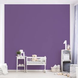 Bilderwelten Fototapete Vliestapete Unifarben Wandtapete einzigartig - Flieder - Deko Wohnzimmer Schlafzimmer