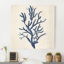 Bilderwelten Leinwandbild - Quadrat Indigo Koralle II