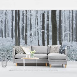 Bilderwelten Fototapete Wald Motiv Wandtapete weiss - Buchen mit Rauhreif - B&auml;ume Wohnzimmer Schlafzimmer