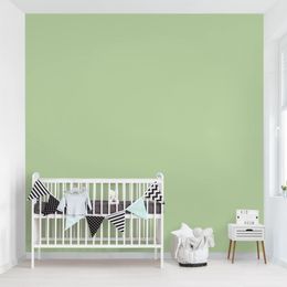 Bilderwelten Fototapete Vliestapete Unifarben Wandtapete einzigartig - Mint - Deko Wohnzimmer Schlafzimmer