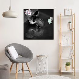 Bilderwelten Glasbild Tiere Motiv schwarz weiss Glas Wandbild - Kronenkranich Verbeugung Schwarz Wei&szlig; - V&ouml;gel Wohnzimmer Schlafzimmer