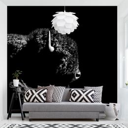 Bilderwelten Fototapete Bison vor Schwarz