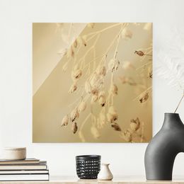 Bilderwelten Glasbild Blumen Landhaus beige Glas Wandbild - H&auml;ngende Trockenknospen - Gr&auml;ser Wohnzimmer Schlafzimmer