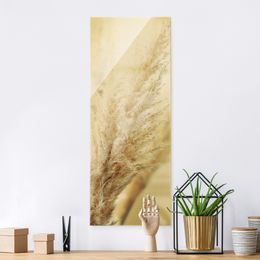 Bilderwelten Glasbild Blumen Landhaus beige Glas Wandbild - Makroaufnahme Pampasgras - Gr&auml;ser Wohnzimmer Schlafzimmer