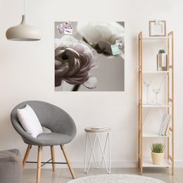 Bilderwelten Glasbild Motiv beige Glas Wandbild - Dunkle Bl&uuml;te im Fokus - Rose Wohnzimmer Schlafzimmer