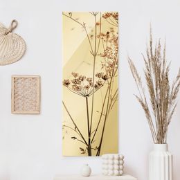 Bilderwelten Glasbild Blumen Motiv braun Glas Wandbild - Trockenblume im Lichtspiel - Deko Wohnzimmer Schlafzimmer