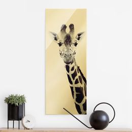 Bilderwelten Glasbild Tiere Motiv schwarz weiss Glas Wandbild - Giraffen Portrait in Schwarz-wei&szlig; - Giraffen Wohnzimmer Schlafzimmer