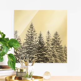 Bilderwelten Glasbild Wald Motiv weiss Glas Wandbild - Dunkle Winterlandschaft - B&auml;ume Wohnzimmer Schlafzimmer