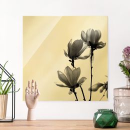 Bilderwelten Glasbild Tropisch schwarz weiss Glas Wandbild - Fr&uuml;hlingsbote Magnolie Schwarz Wei&szlig; - Pflanzen Wohnzimmer Schlafzimmer