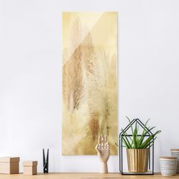 Bilderwelten Glasbild Blumen Landhaus beige Glas Wandbild - Pampasgras im Wei&szlig;en Licht - Gr&auml;ser Wohnzimmer Schlafzimmer